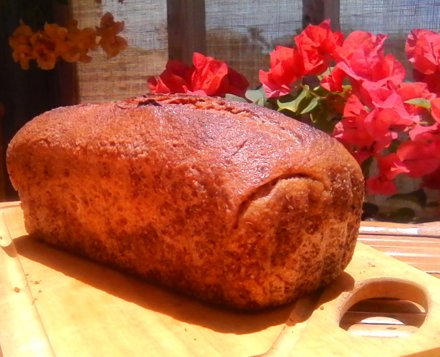 Dough Proofing Diagram - Whole Grain